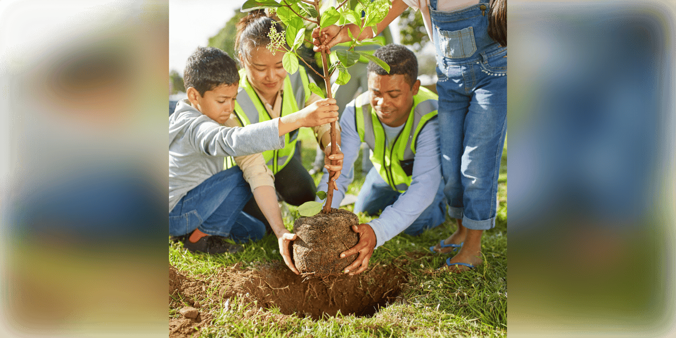 Fundraiser by The Sanctuary | Donate to help plant trees to save the ...