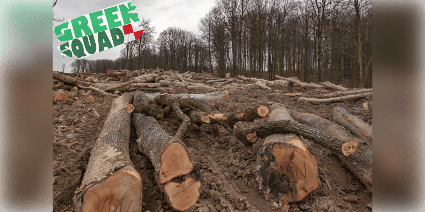 Fundraiser by Association VIDRA | Help Us Stop the Brutal Destruction ...
