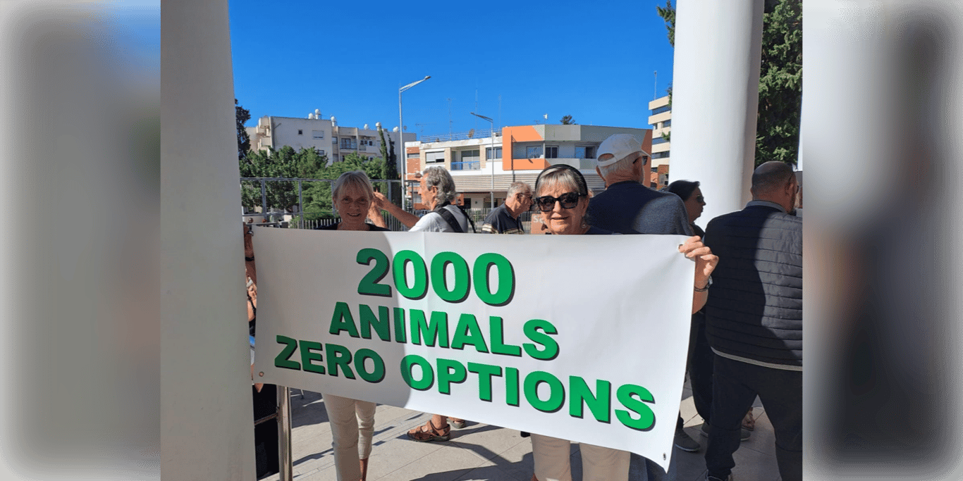 Fundraiser by Animal Rescue Cyprus | Help to recreate a safe place for ...