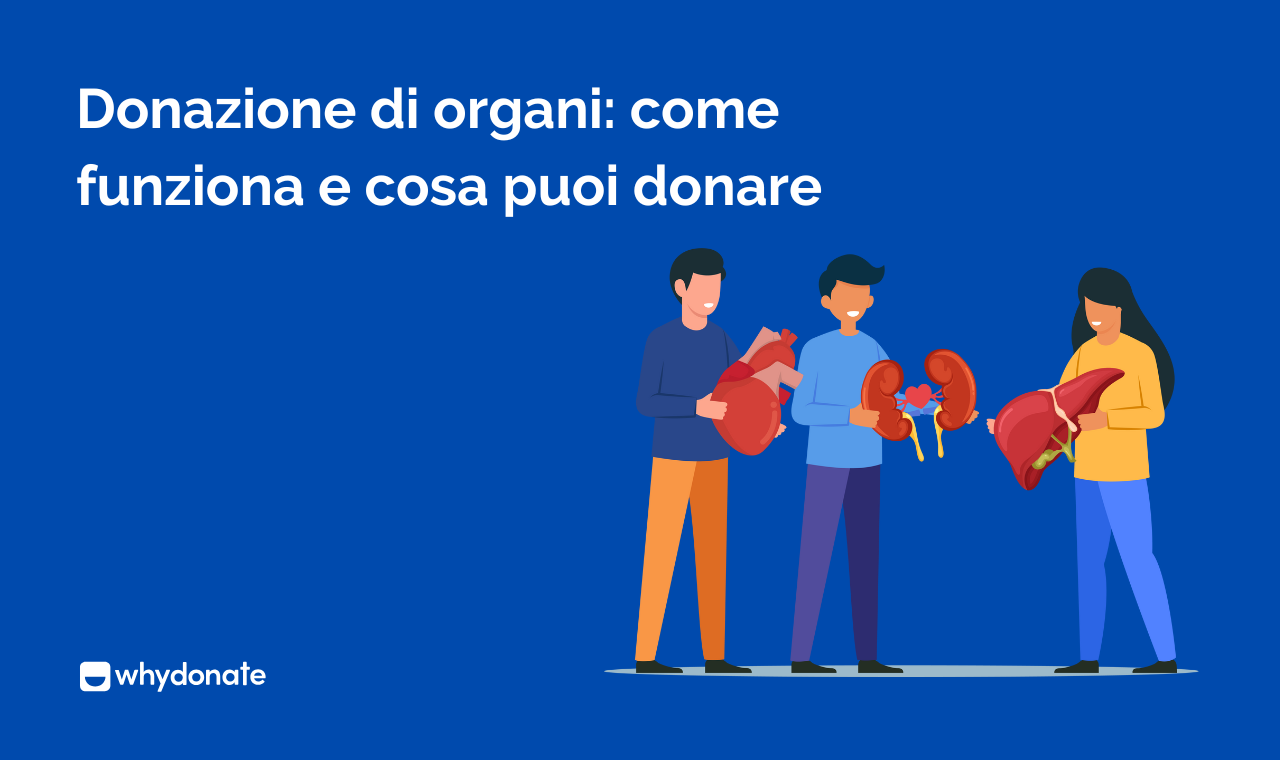 Donazione Di Organi: Come Funziona E Cosa Puoi Donare